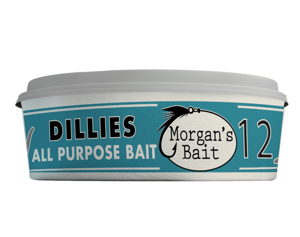 Dillies | Live Bait Camden, NY | Morgan's Bait